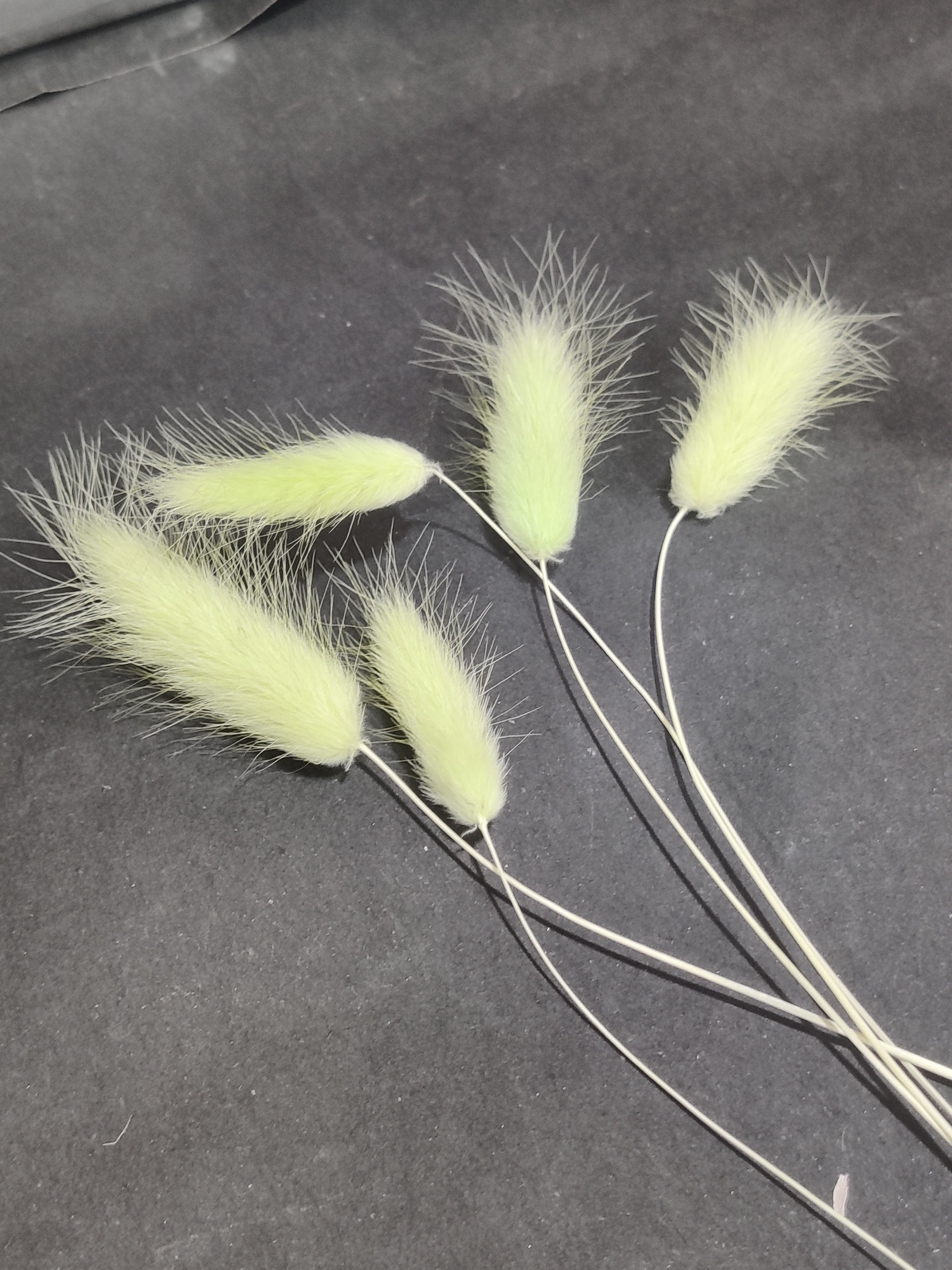 Pastel green bunny tail pack of 5 – Bakeworld Retails Pvt Ltd