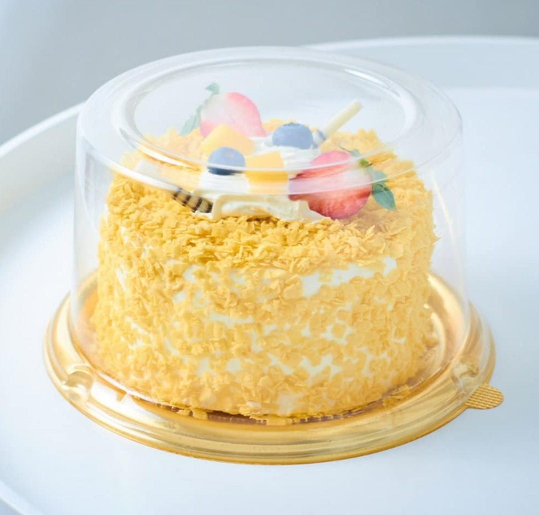 Bento Cake box Size- 5×2.2inch – Bakeworld Retails Pvt Ltd